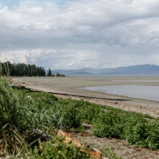 Beach Acres Resort - Gallery