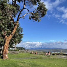 Beach Acres Resort - Gallery